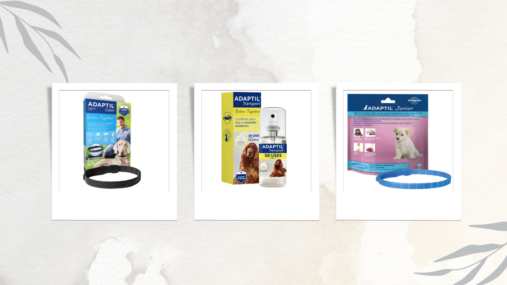 Adaptil Hunde Halsband Lösung zur Beruhigung - Unsere Top 4 - dogbible