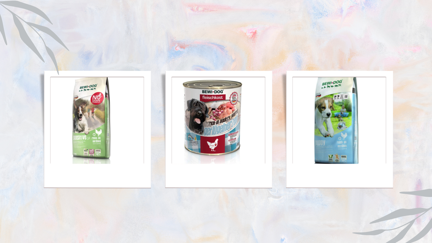 Bewi Dog Hundefutter - Unsere Top 10 - dogbible