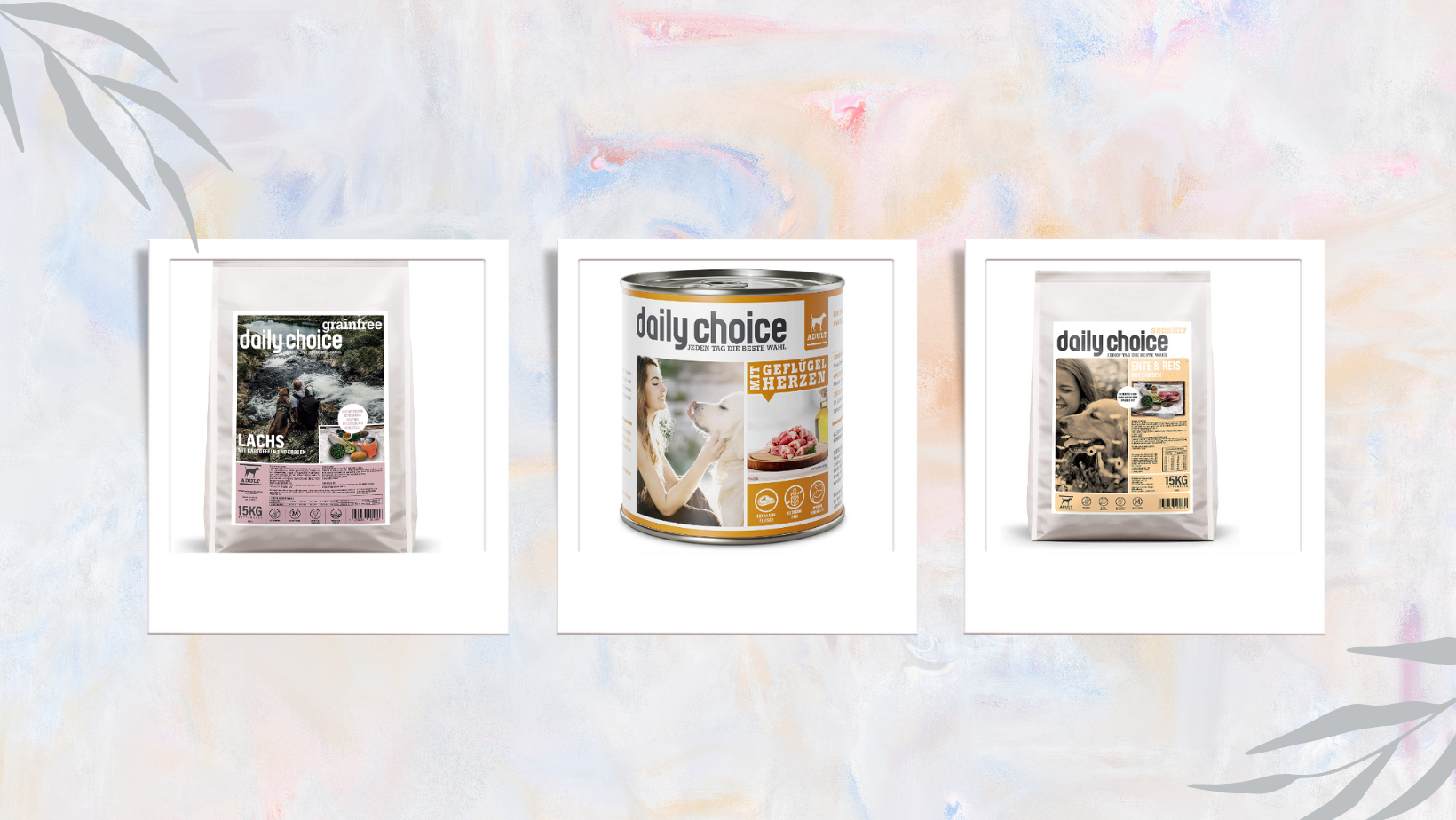 Daily Choice Hundefutter - Unsere Top 4 - dogbible