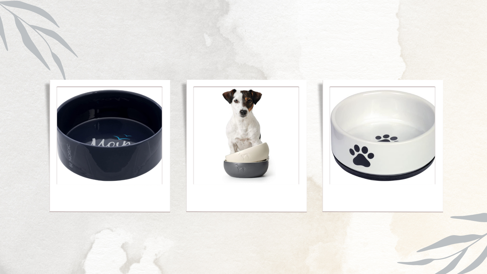 Keramik Hundenapf - Unsere Top 6 - dogbible