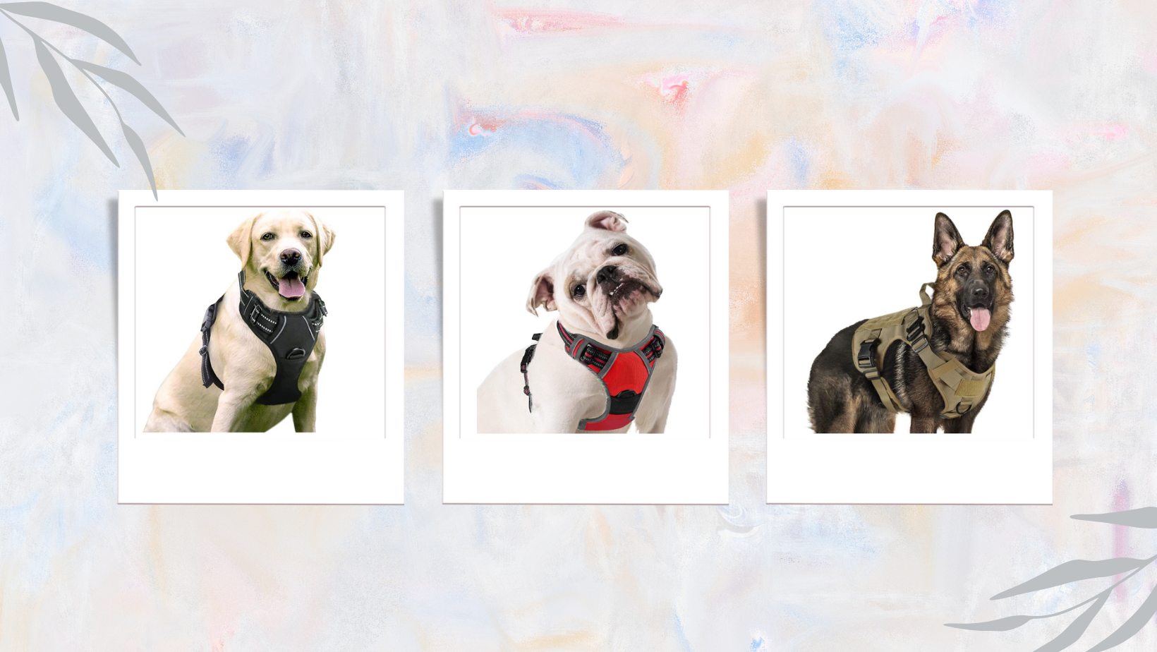 Mantrailing Geschirr - unsere Tipps und Kaufempfehlung - Unsere Top 8 ...