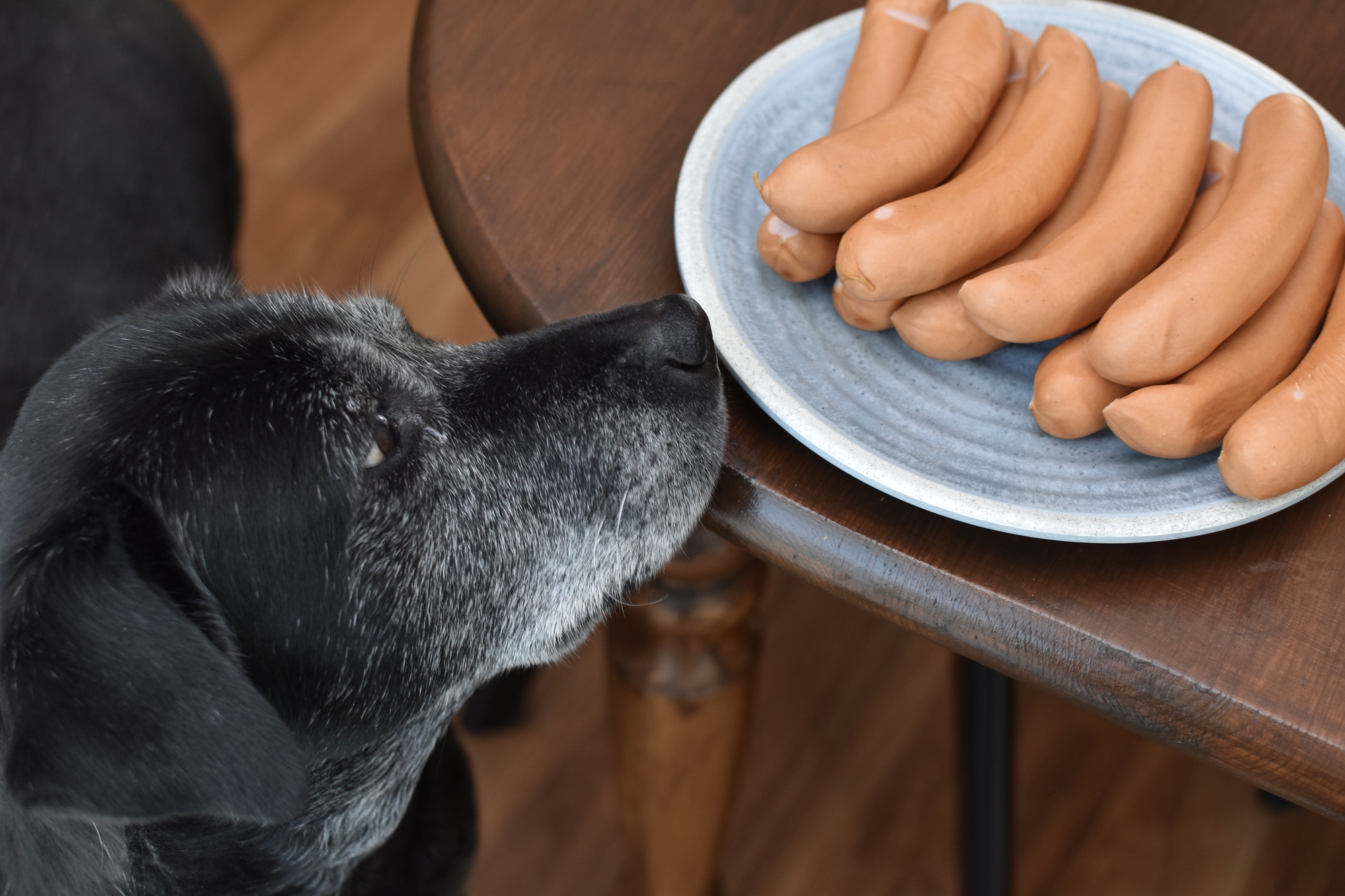 Can my dog eat sausage and ham? - dogbible