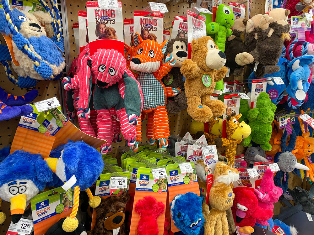 Dog toys - what you need to look out for - dogbible