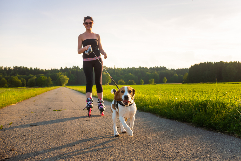 Roller skating or skateboarding with the dog - dogbible