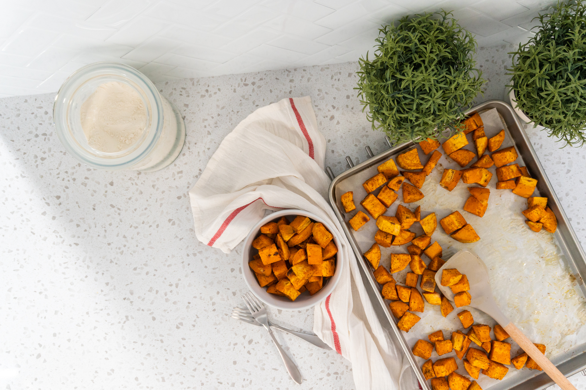 Can my dog eat sweet potato? Answer and why - dogbible