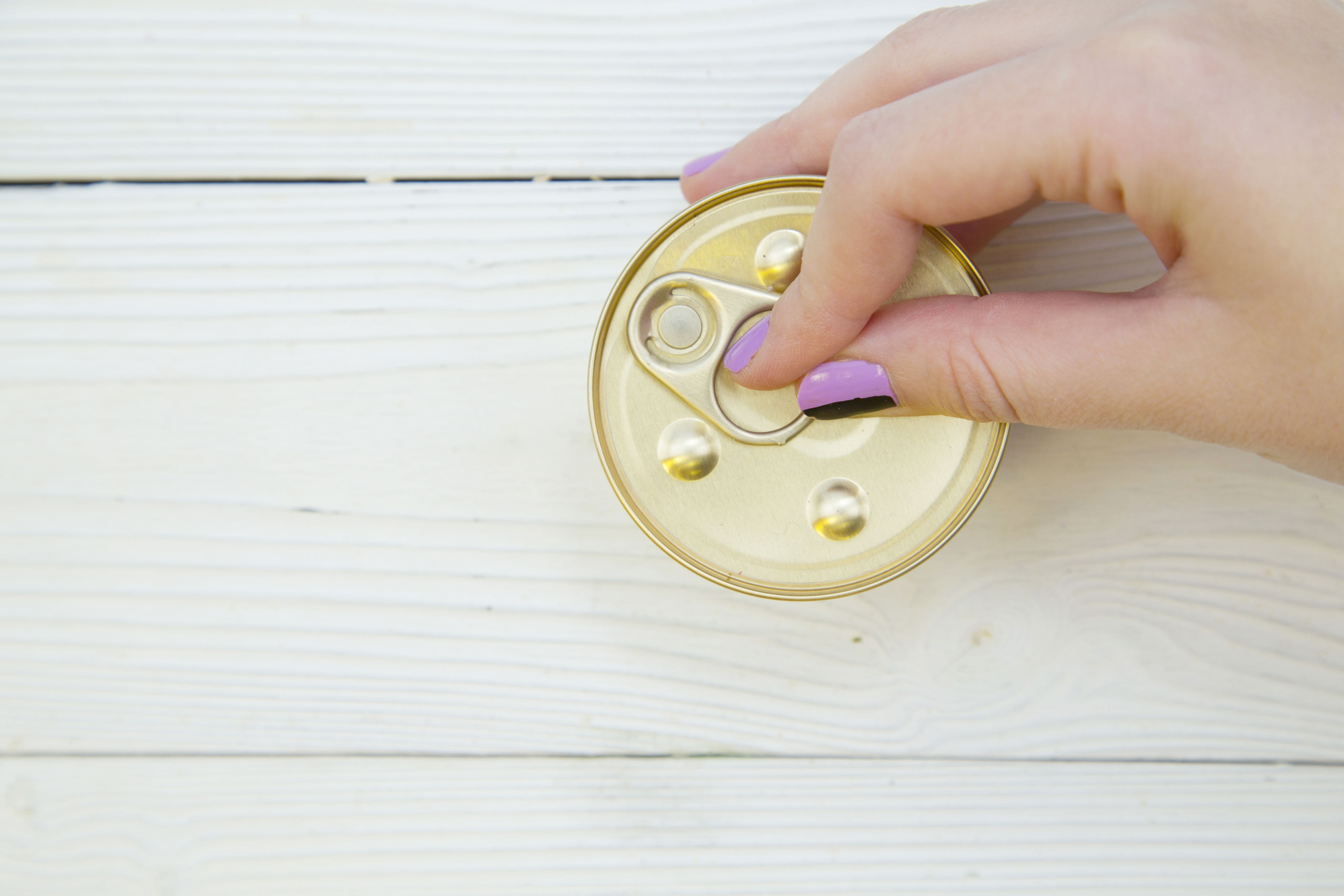 How to recognise good canned food for the dog - dogbible