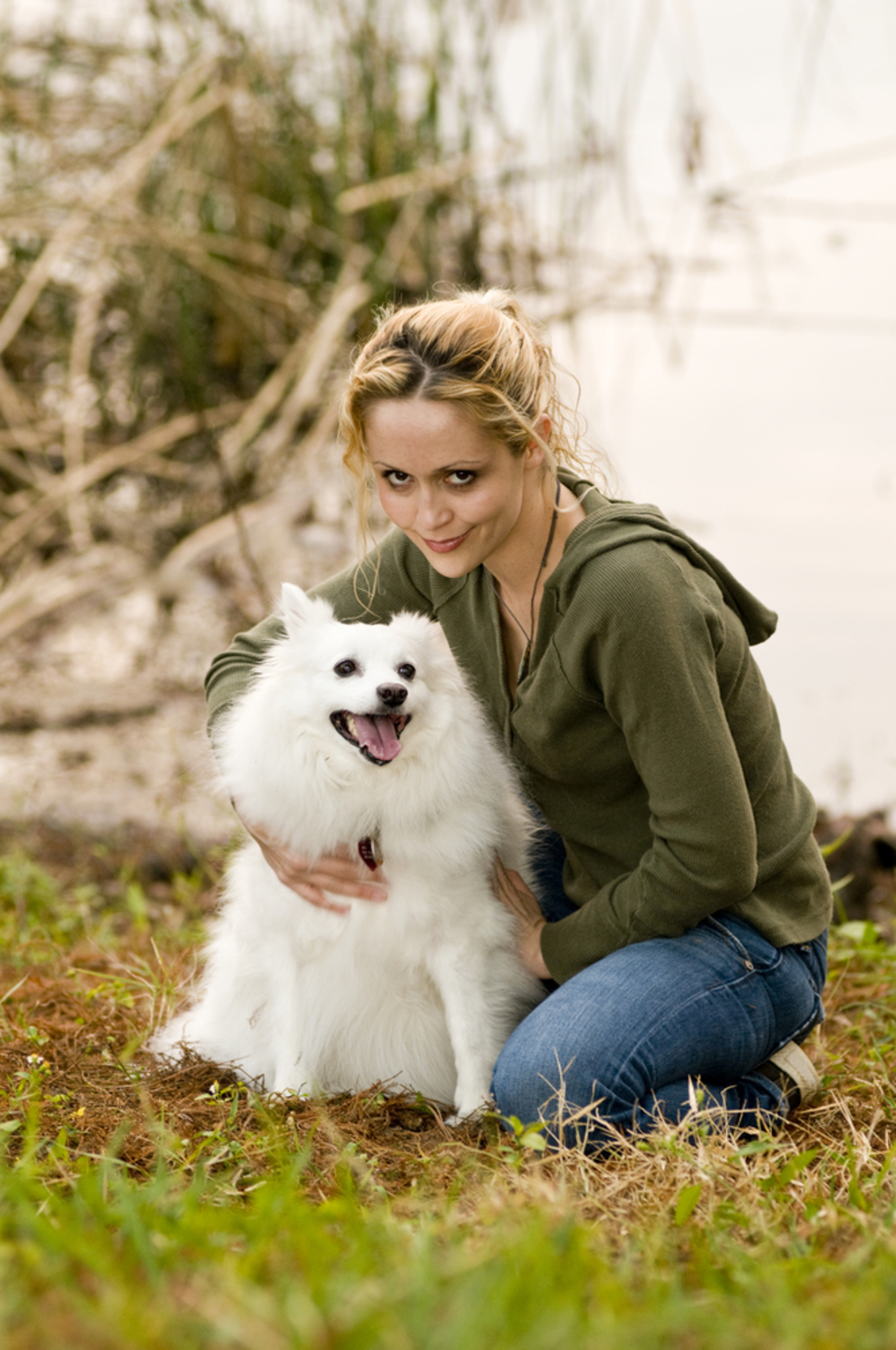 American Eskimo Dog - Rassebeschreibung und Temperament